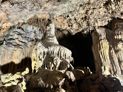 Best Forest Trails in Florida Caverns State Park | AllTrails