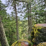Rampart Ridge Loop, Washington - 2,214 Reviews, Map | AllTrails