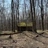 Mount Greylock via Bellows Pipe Trail, Massachusetts - 2,367 Reviews ...