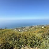 Ocean Overlook Loop, California - 1,003 Reviews, Map | AllTrails