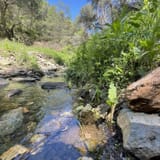 Dragoon Gulch Trail, California - 953 Reviews, Map | AllTrails