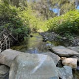 Dragoon Gulch Trail, California - 953 Reviews, Map | AllTrails