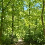 Southern Loop via Western Ridge Trail, Rock Creek, Valley Trail ...