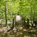 Southern Loop via Western Ridge Trail, Rock Creek, Valley Trail ...