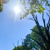 Southern Loop via Western Ridge Trail, Rock Creek, Valley Trail ...