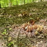 Southern Loop via Western Ridge Trail, Rock Creek, Valley Trail ...