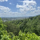 Stringers Ridge via Blue Trail, Tennessee - 2,054 Reviews, Map | AllTrails