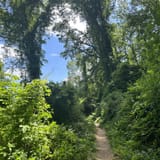 Stringers Ridge via Blue Trail, Tennessee - 2,054 Reviews, Map | AllTrails