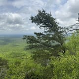 Pinhoti Trail: Adam's Gap to Cheaha State Park, Alabama - 128 Reviews ...