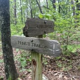 Pinhoti Trail: Adam's Gap to Cheaha State Park, Alabama - 128 Reviews ...