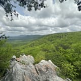 Pinhoti Trail: Adam's Gap to Cheaha State Park, Alabama - 128 Reviews ...