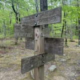 Pinhoti Trail: Adam's Gap to Cheaha State Park, Alabama - 128 Reviews ...
