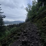 Angel's Rest, Oregon - 8,117 Reviews, Map | AllTrails