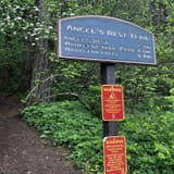 Angel's Rest, Oregon - 8,117 Reviews, Map | AllTrails