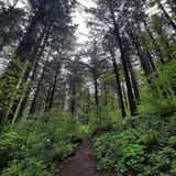 Angel's Rest, Oregon - 8,117 Reviews, Map | AllTrails