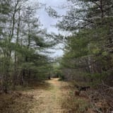 Saco River Trail, New Hampshire - 510 Reviews, Map | AllTrails