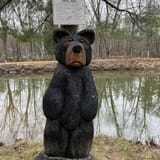 Saco River Trail, New Hampshire - 510 Reviews, Map | AllTrails