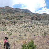 Palisade Rim Trail, Colorado - 1,576 Reviews, Map | AllTrails