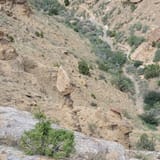 Palisade Rim Trail, Colorado - 1,576 Reviews, Map | AllTrails