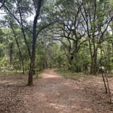 Bolen Bluff Trail, Florida - 1,007 Reviews, Map | AllTrails