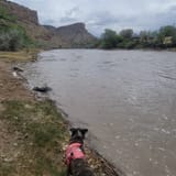 Palisade Rim Trail, Colorado - 1,577 Reviews, Map | AllTrails