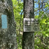 Pinhoti Trail: Adam's Gap to Cheaha State Park, Alabama - 133 Reviews ...