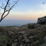 Hawksbill Loop Trail, Virginia - 4,324 Reviews, Map | AllTrails