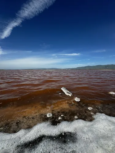 Best Lake Trails in Alviso | AllTrails