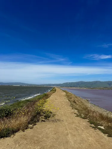Best Lake Trails in Alviso | AllTrails