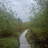 Mount Crumpit via Stairway to Heaven, Woodpecker, and S&M Connector ...