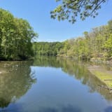 Old Pond Trail and Clopper Lake Loop Trail, Maryland - 670 Reviews, Map ...