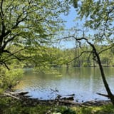 Old Pond Trail and Clopper Lake Loop Trail, Maryland - 670 Reviews, Map ...