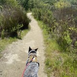 Back Bay Loop Trail, California - 1,848 Reviews, Map | AllTrails