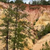Red Bluff, Mississippi - 446 Reviews, Map | AllTrails