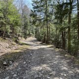 Prospect Rock Trail, Vermont - 892 Reviews, Map | AllTrails