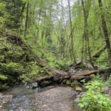 Lower Macleay Park to Pittock Mansion, Oregon - 4,356 Reviews, Map ...