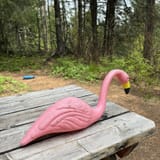 Mount Emily Recreation Area Loop, Oregon - 246 Reviews, Map | AllTrails