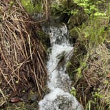 Mount Emily Recreation Area Loop, Oregon - 246 Reviews, Map | AllTrails