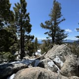 Chickadee Ridge via Tahoe Rim Trail, Nevada - 2,437 Reviews, Map ...