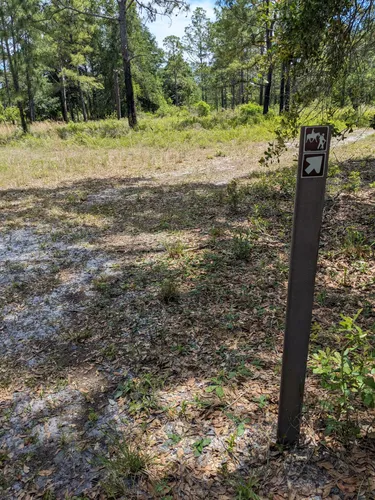 Best Hikes and Trails in Half Moon Wildlife Management Area | AllTrails