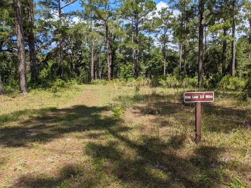 Best Hikes and Trails in Half Moon Wildlife Management Area | AllTrails