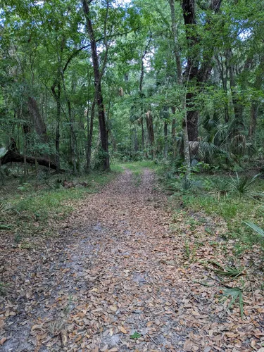 Best Hikes and Trails in Half Moon Wildlife Management Area | AllTrails