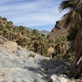 Victor Loop, California - 1,522 Reviews, Map | AllTrails