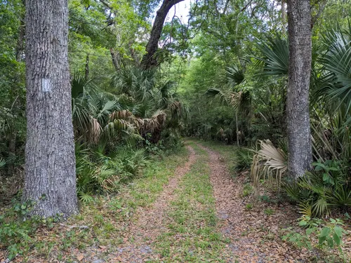 Best Hikes and Trails in Half Moon Wildlife Management Area | AllTrails