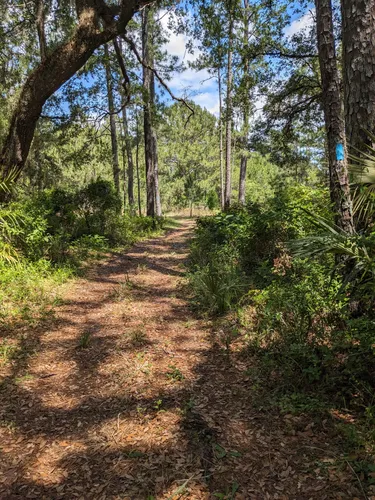 Best Hikes and Trails in Half Moon Wildlife Management Area | AllTrails