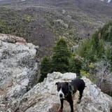 Big Rock Via Elephant Rock Trail, Utah - 2,409 Reviews, Map | AllTrails