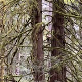 Evergreen Beach Trail, Washington - 694 Reviews, Map | AllTrails