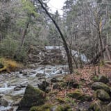 Lower Ausable Lake Loop, New York - 359 Reviews, Map | AllTrails