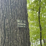 Millennium Trail, Kentucky - 449 Reviews, Map | AllTrails