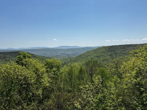 10 Best Trails and Hikes in Fort Valley | AllTrails